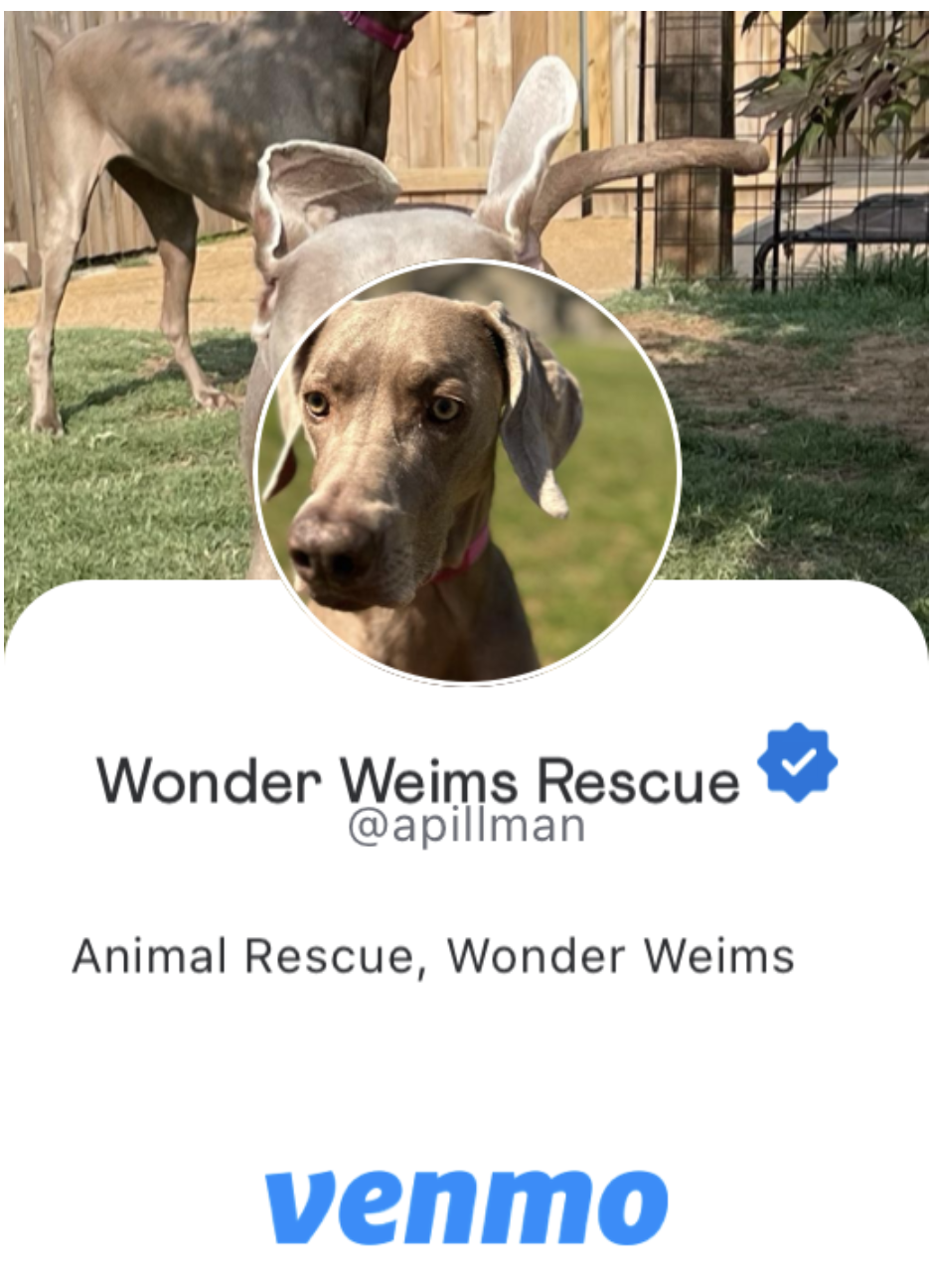 Donate – Wonder Weims Rescue